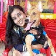 Tips for training a Labrador puppy - The Happy Puppers