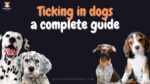 Ticking in dogs: a complete guide - The Happy Puppers