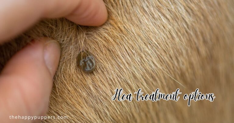 Flea dirt in dogs: complete guide 2025 - The Happy Puppers