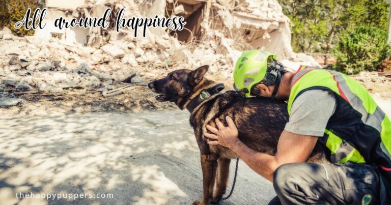 Rescue dogs rehabilitation: a success guide - The Happy Puppers