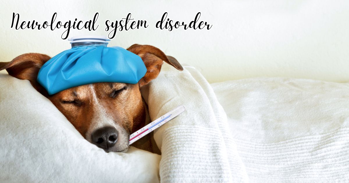 Canine paraphimosis: Grooming options - The Happy Puppers