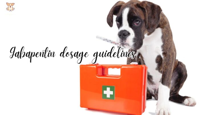 Gabapentin dosage for dogs: a complete guide - The Happy Puppers