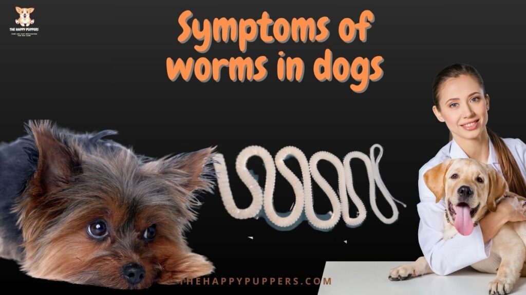 Worms in Dogs: Signs and Treatment - The Happy Puppers