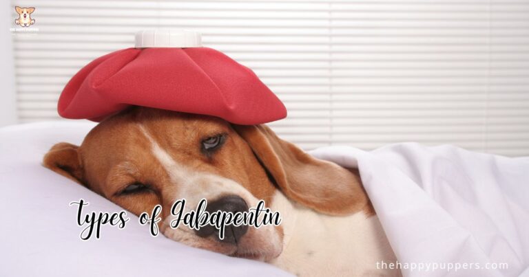 Gabapentin dosage for dogs: a complete guide - The Happy Puppers