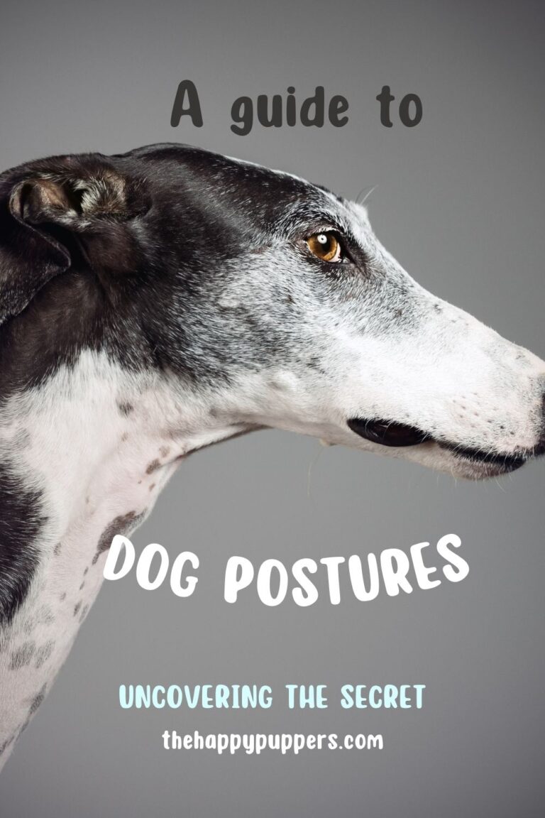 Dog posture: understanding Canine Cues - The Happy Puppers