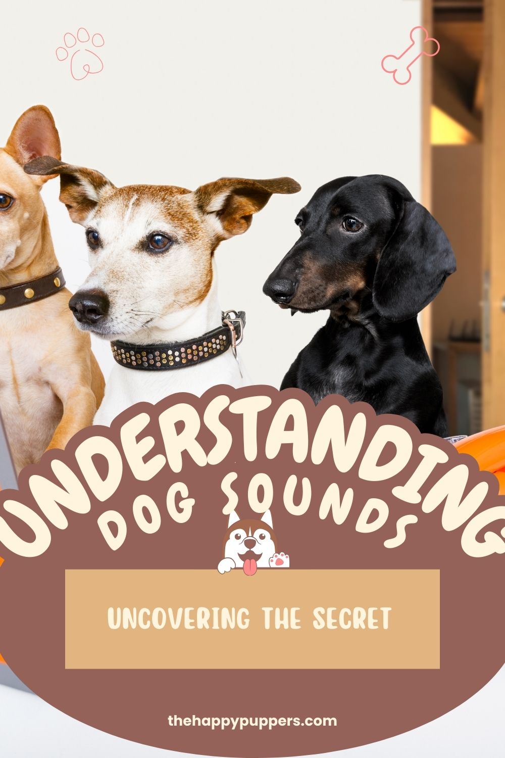 Dog Sounds: Understand Canine Communication - The Happy Puppers
