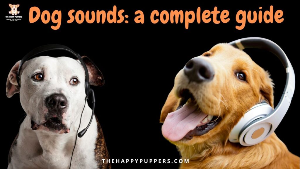 Dog Sounds: Understand Canine Communication - The Happy Puppers