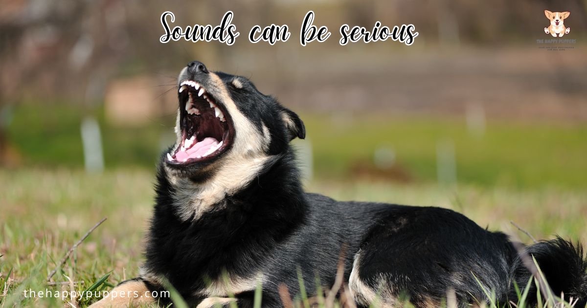 Dog Sounds: Understand Canine Communication - The Happy Puppers