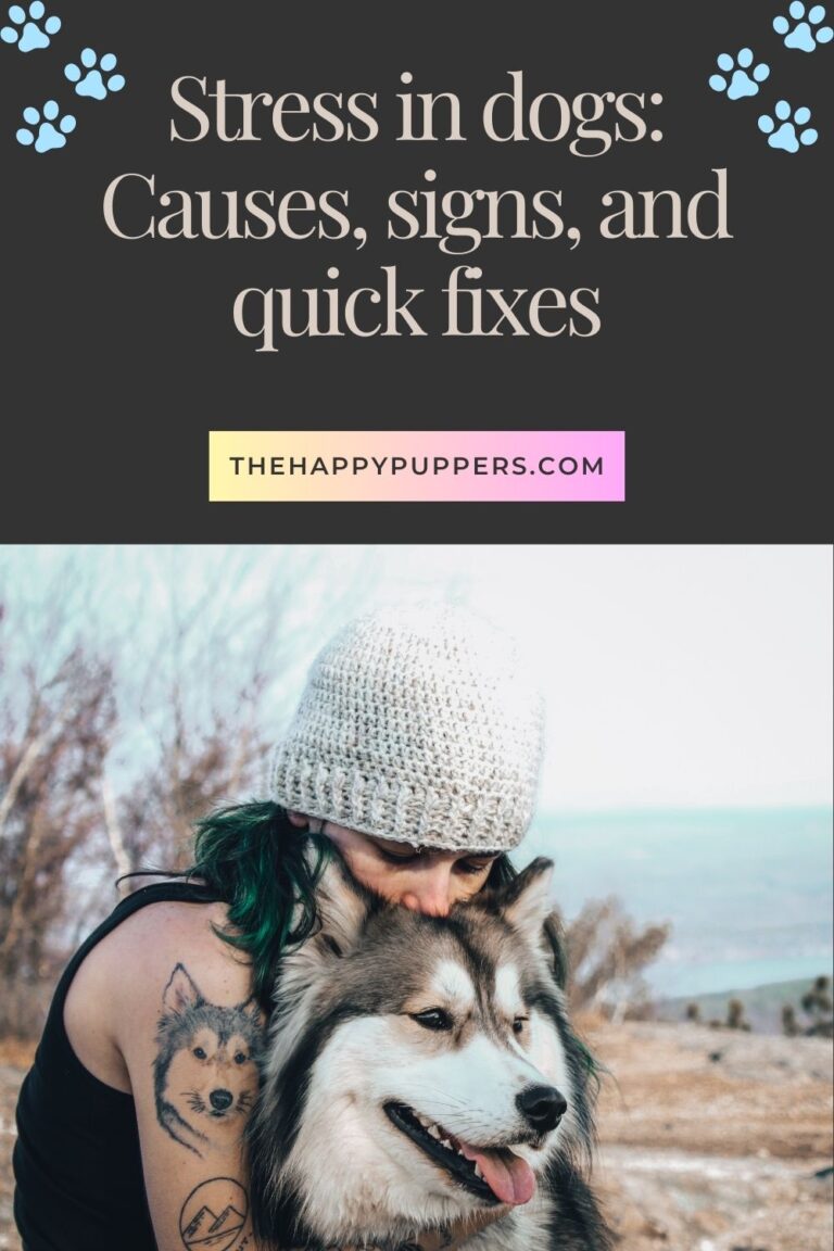 Stress in Dogs: Signs & Solutions - The Happy Puppers