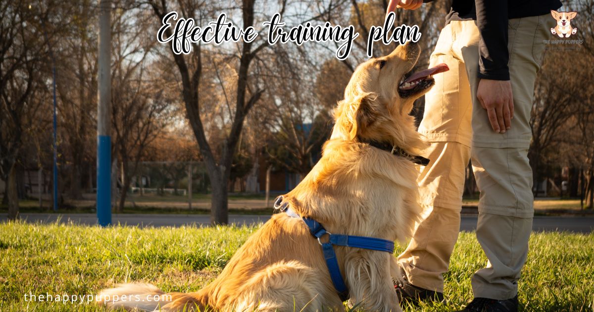 Best Dog Training Methods - The Happy Puppers