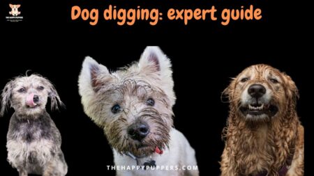 Dog Digging: Stop Destructive Digging - The Happy Puppers
