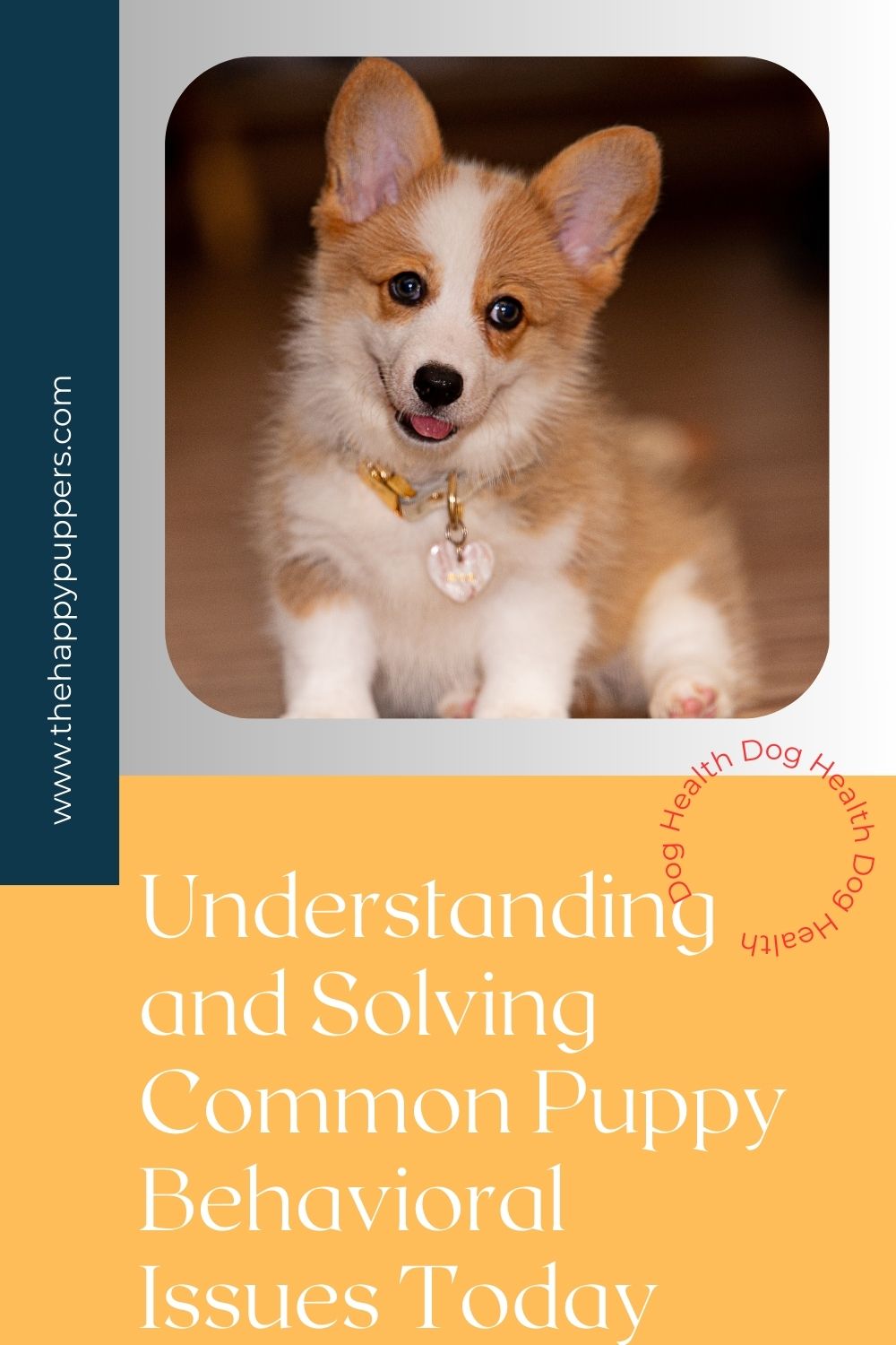 Puppy Behavior: A Friendly Guide - The Happy Puppers