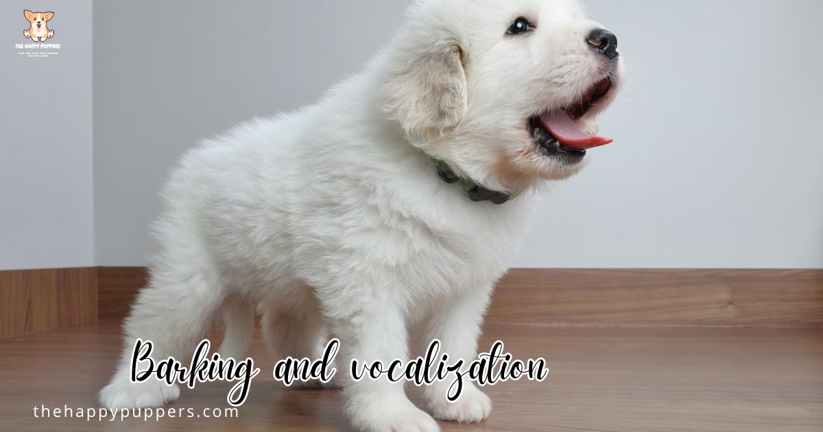 Puppy Behavior: A Friendly Guide - The Happy Puppers