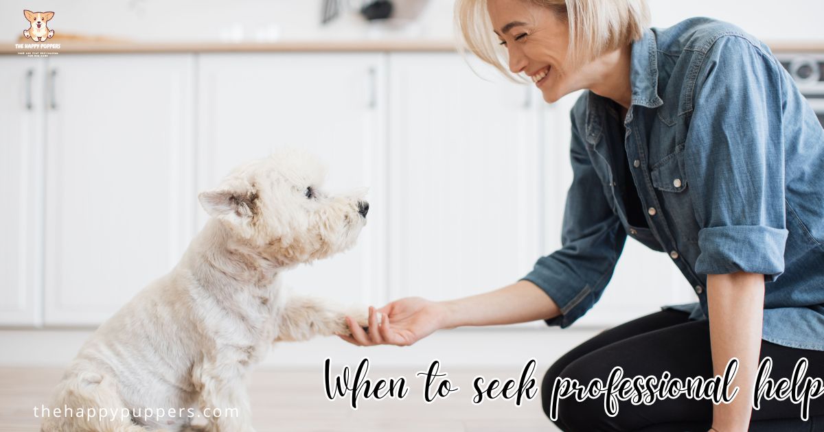 Puppy Behavior: A Friendly Guide - The Happy Puppers