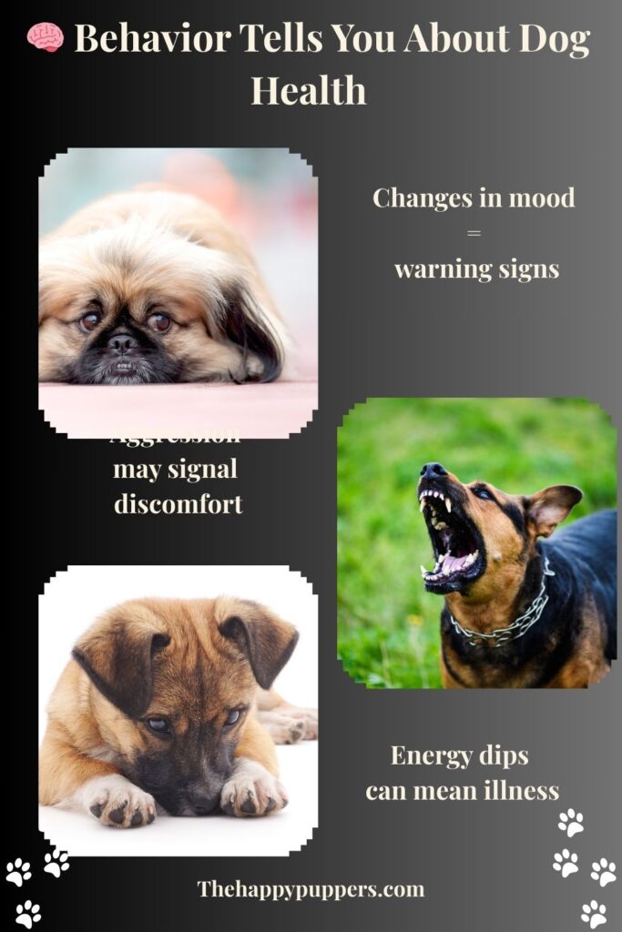 Understanding Dog Health - The Happy Puppers