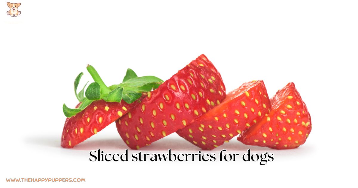 Can Dogs Eat Strawberries? - The Happy Puppers