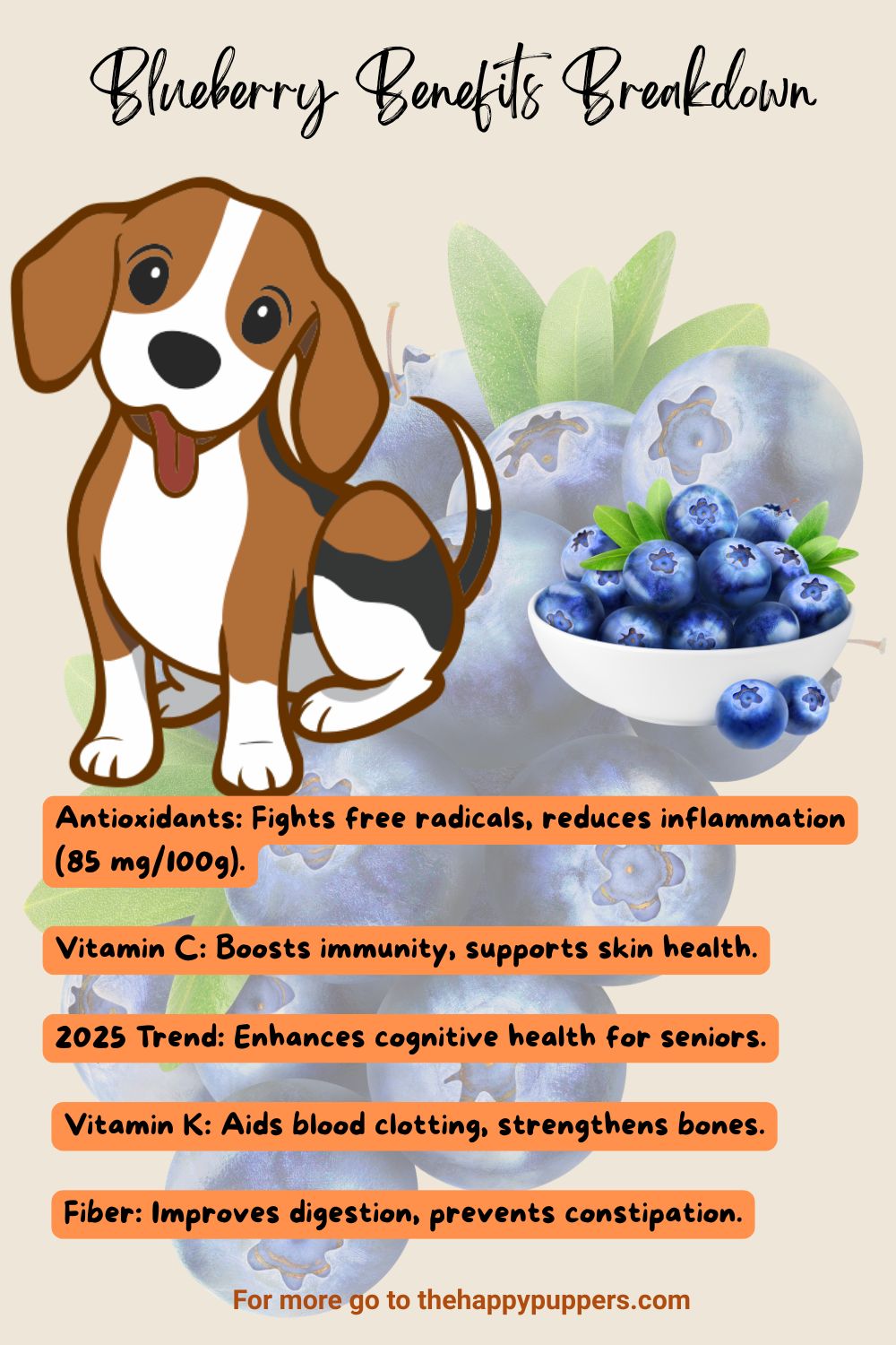Can dogs eat blueberries? Dog Nutrition 2025 - The Happy Puppers