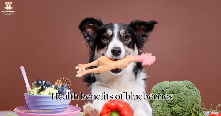 Can dogs eat blueberries? Dog Nutrition 2025 - The Happy Puppers
